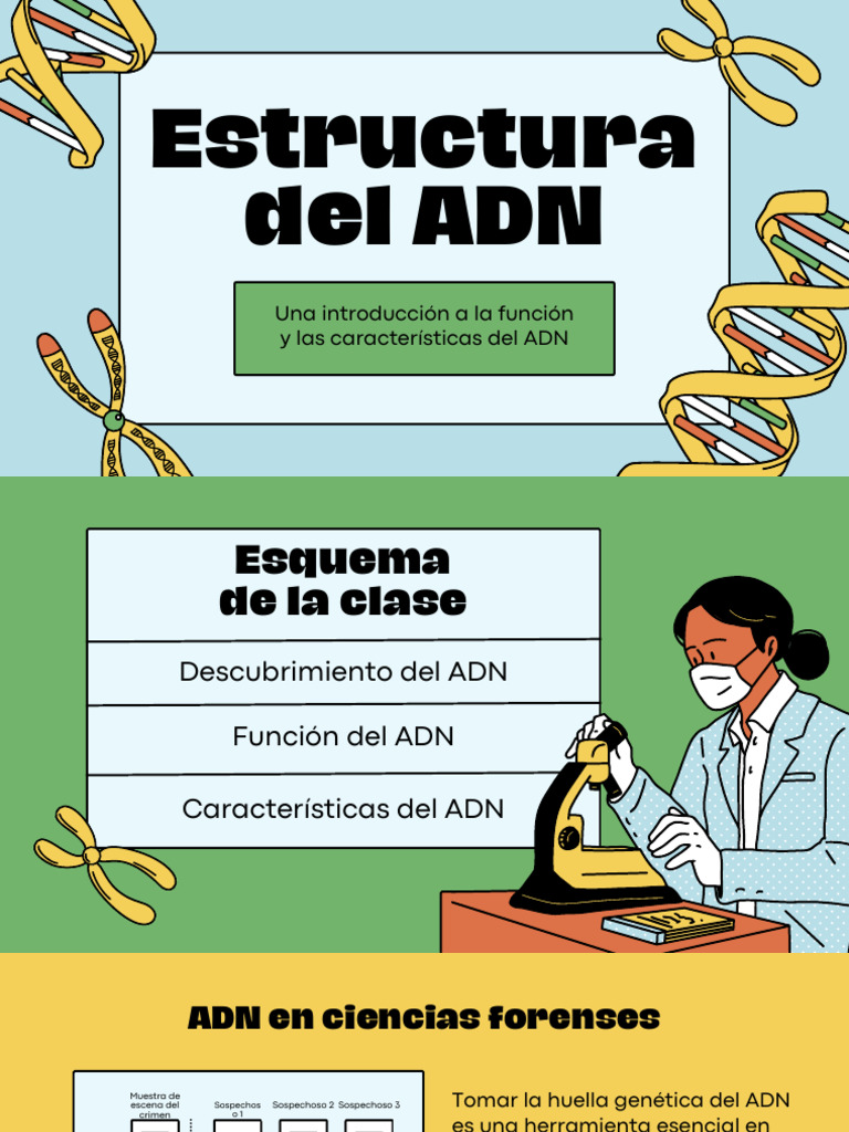 El Adn | PDF | Adn | Francis Crick