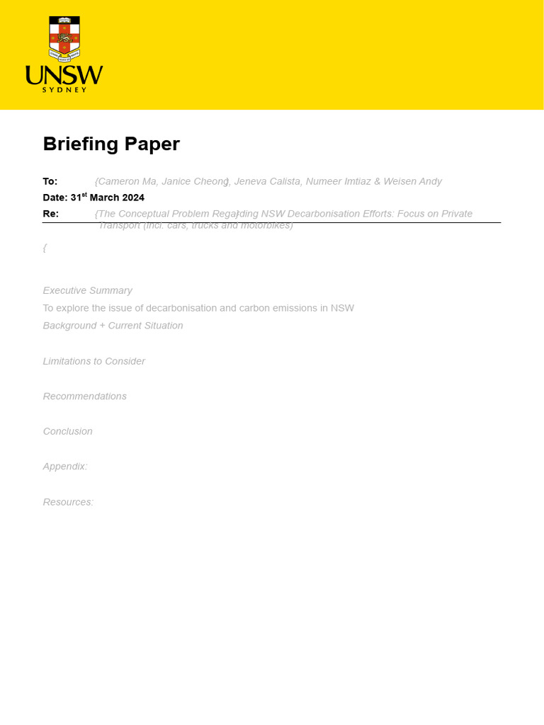 NSW Decarbonisation in Private Transport | PDF | Technology & Engineering