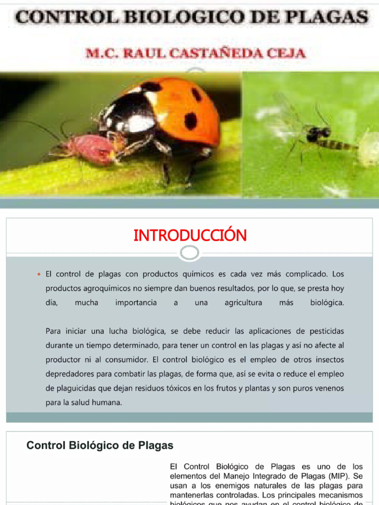 Control Biologico 2024 | PDF