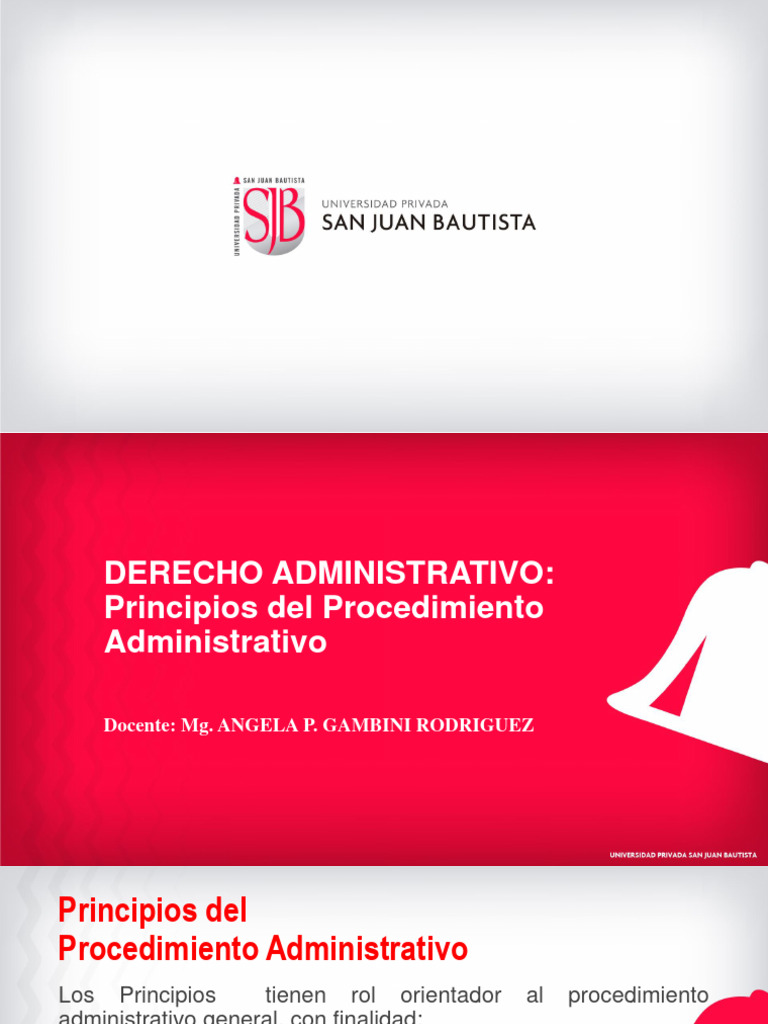 Principios Del Procedimiento Administrativo | PDF | Justicia | Crimen y violencia