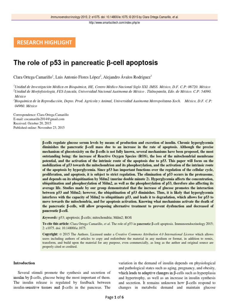 The Role of p53 in Pancreatic Beta Cell Apoptosis | PDF | Apoptosis | P53