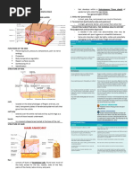 Nursing Skin Assessment Checklist | PDF