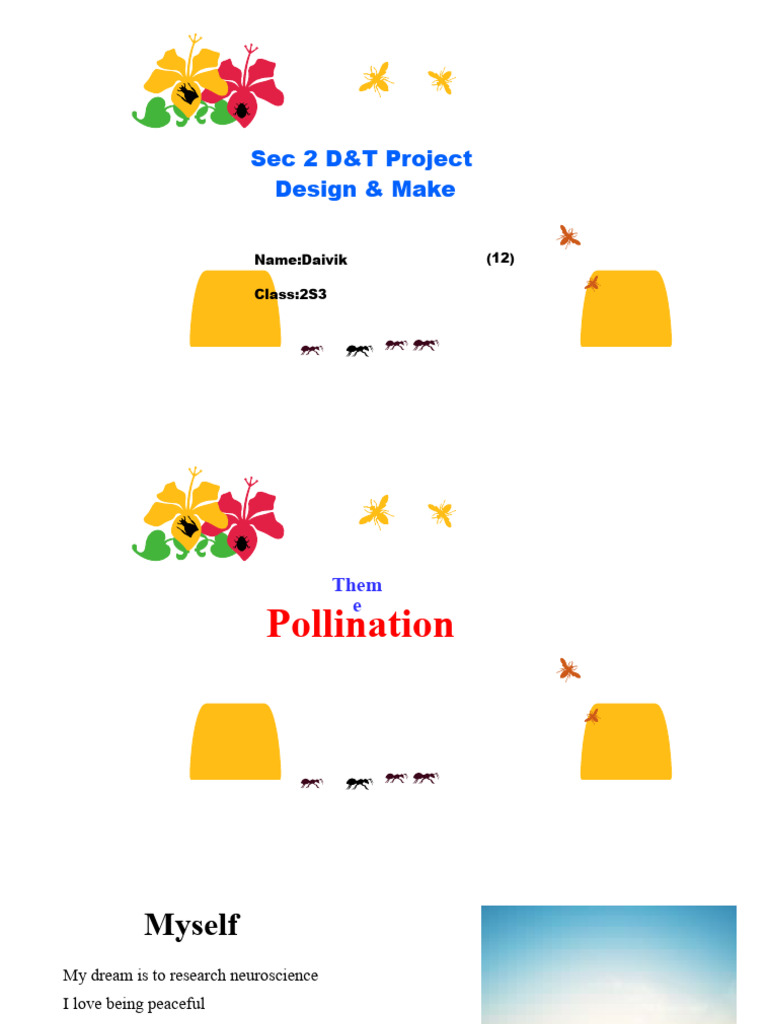 Gundre Daivik Reddy (SCSS) - 2024 Sec 2 Journal Template Stu2 2 | PDF | Flowers | Pollinators