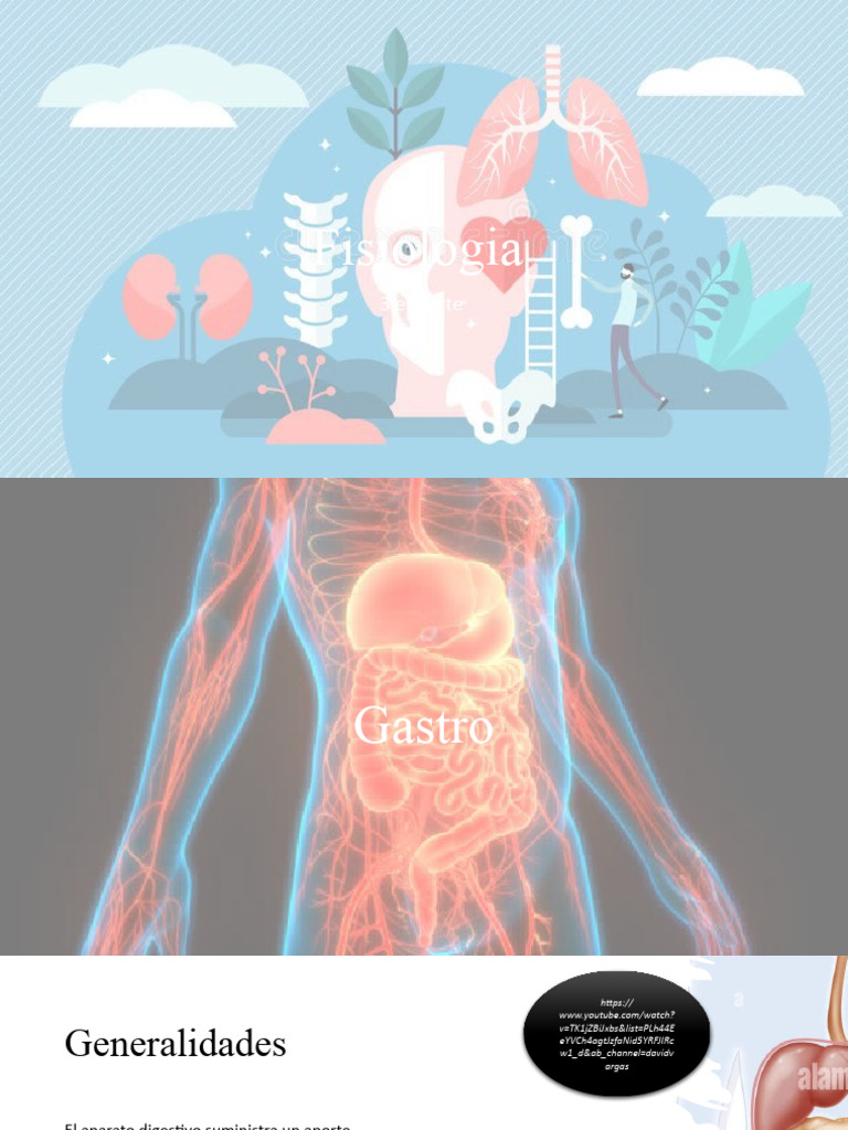 Fisiología del Aparato Digestivo | PDF | Insulina | Digestión
