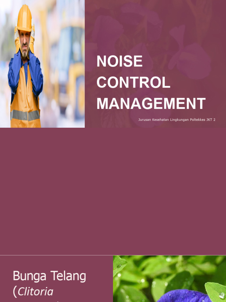 Noise Control Management | PDF | Hukum