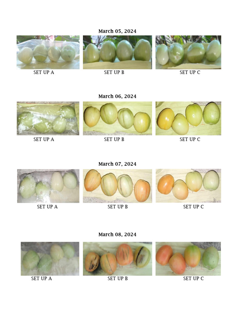 Crop Sci Respiration Pics | PDF