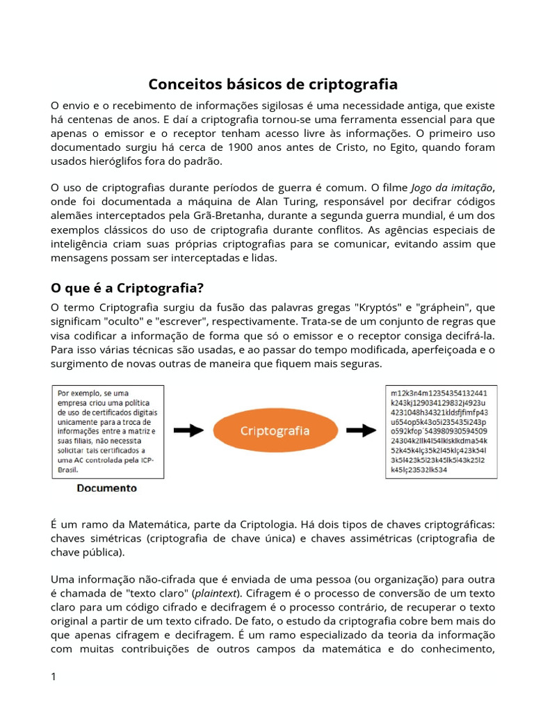 Conceitos Básicos de Criptografia | PDF | Cápsula segura | Criptografia