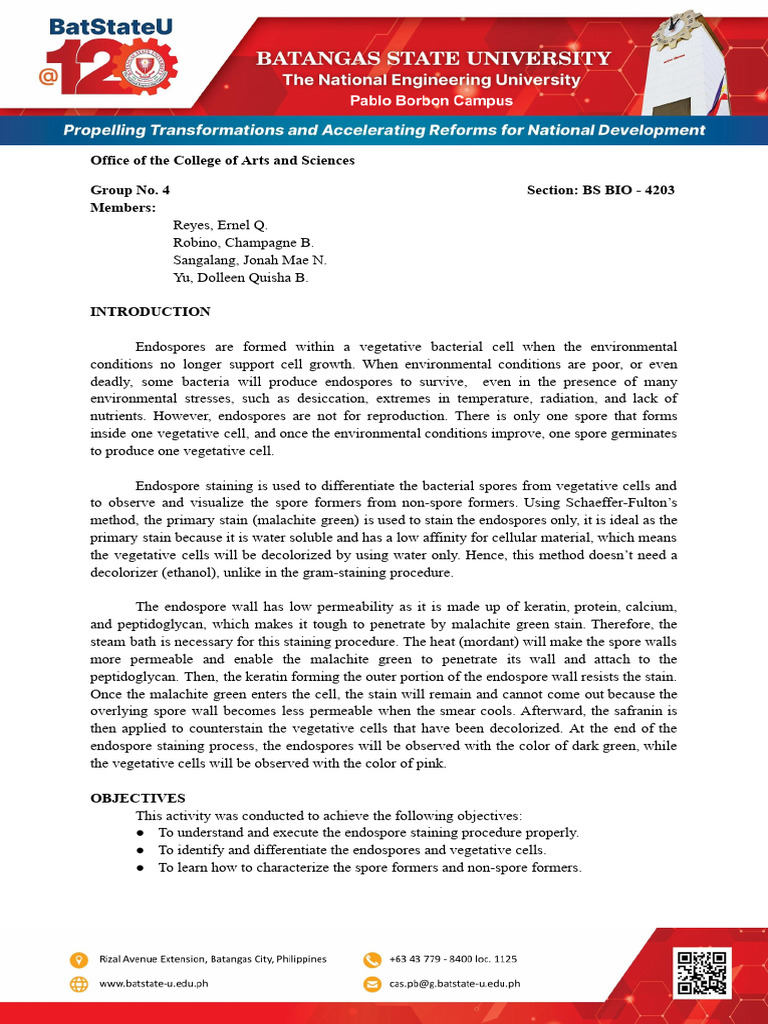 Activity 3 - Endospore Staining - GR 4 | PDF | Staining | Biology