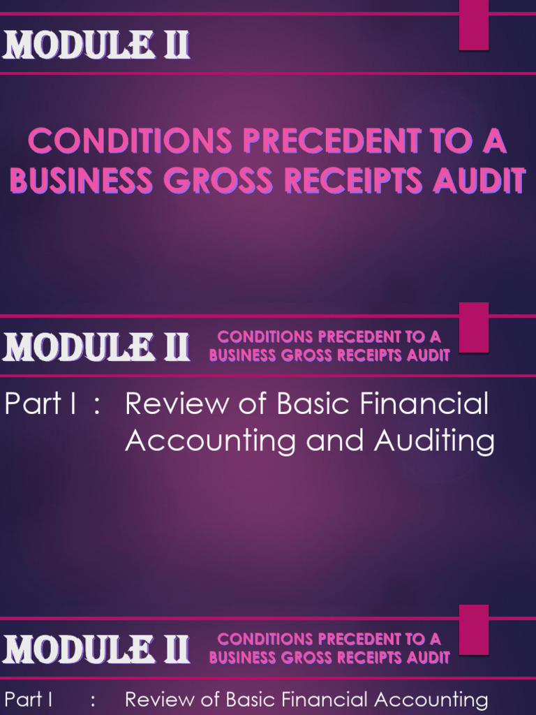 Business Gross Receipts Audit Guide | PDF | Morality | Utilitarianism