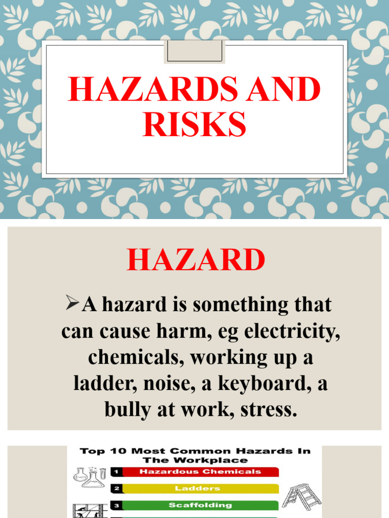 HAZARDS AND RISKS | PDF | Hazards | Human Factors And Ergonomics