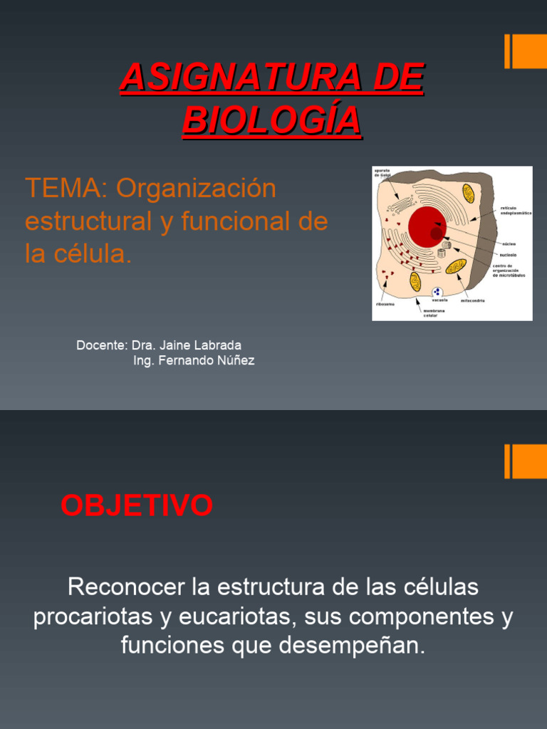 1 Célula Unidad Básica de La Vida | PDF | Biología Celular) | Citoplasma