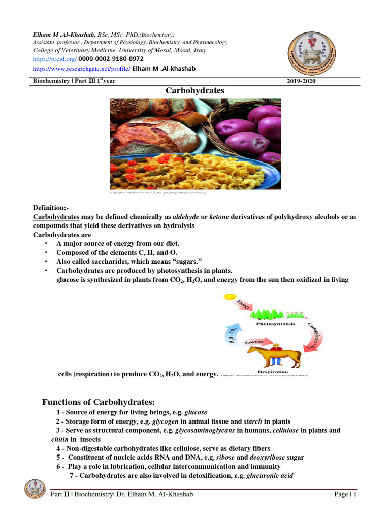 Carbohydrates: Structure and Functions | PDF | Carbohydrates | Glucose