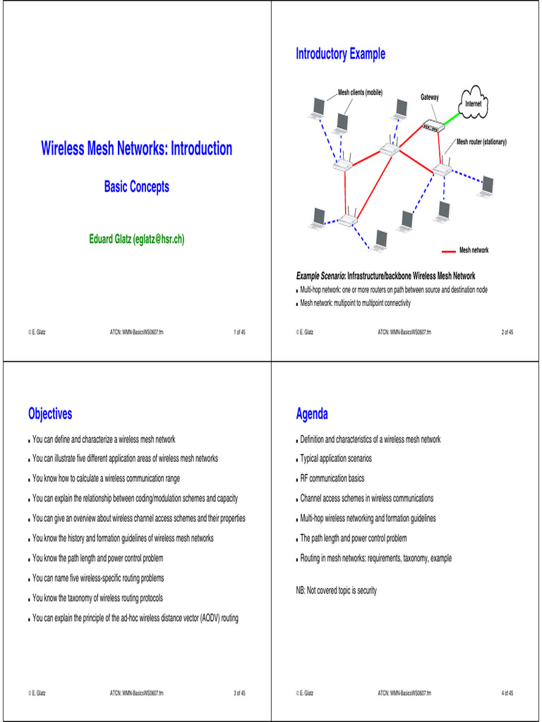 WMN-BasicsWS0607-print | PDF | Computer Network | Wireless Ad Hoc Network