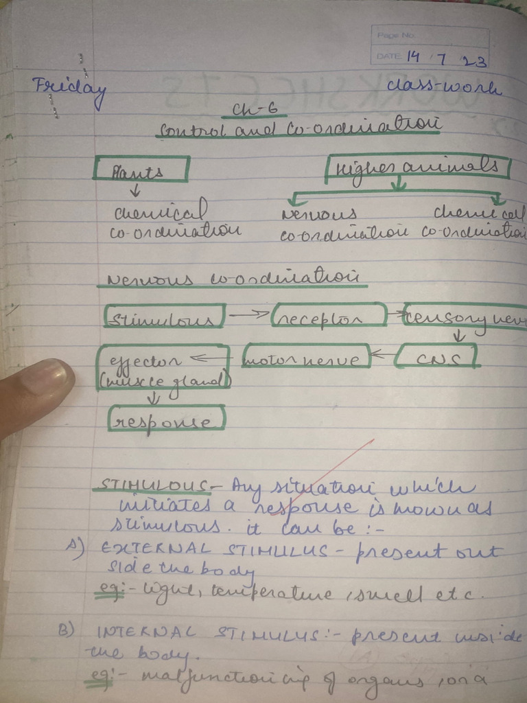 Control and Coordination Bio | PDF