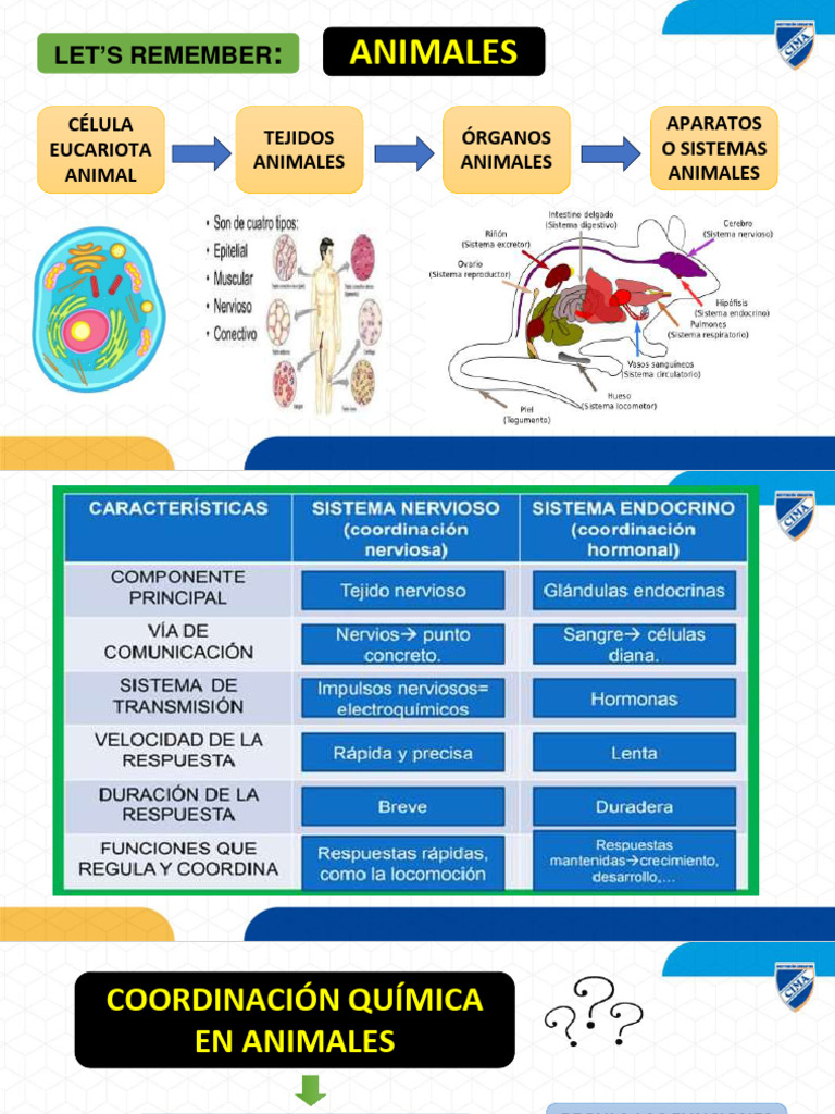Hormonas y Feromonas en Animales | PDF | Ciencia y matemáticas
