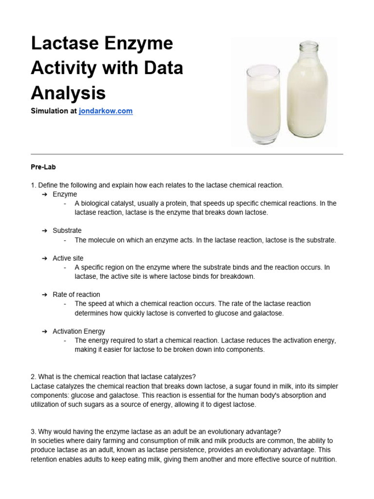Lactase Enzyme Activity - with Data Analysis - STELLA | PDF | Enzyme | Catalysis
