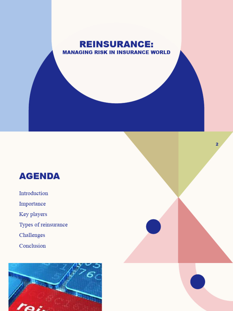 Financial Literacy | PDF | Reinsurance | Insurance