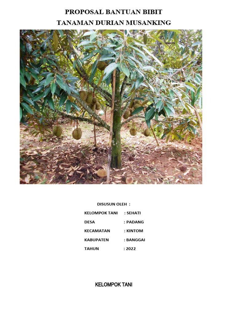 Proposal Bantuan Bibit Durian | PDF | Memasak, Makanan, & Anggur