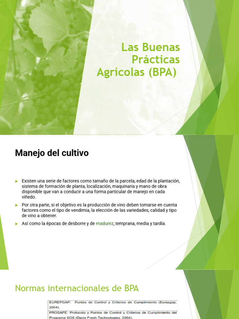 Las Buenas Prácticas Agrícolas (BPA) | Descargar gratis PDF | Agricultura | Pesticida