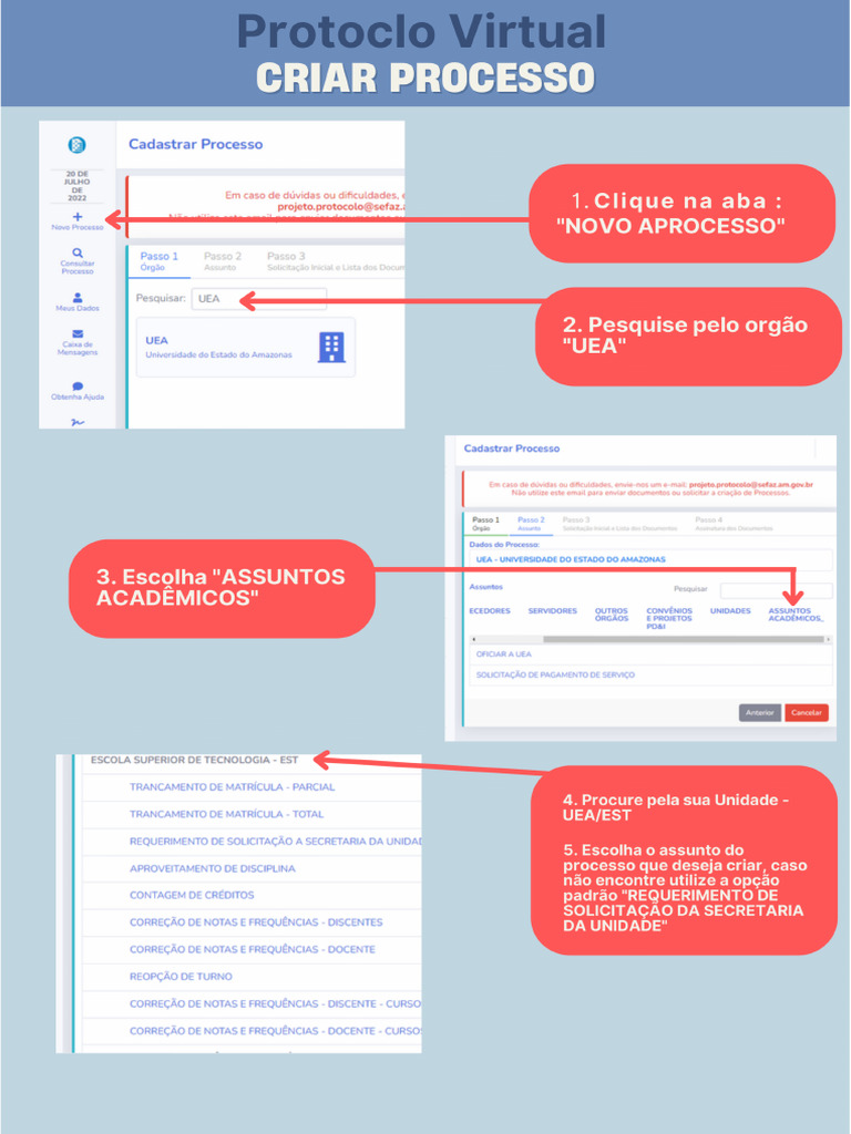 2-Criar Processo Protocolo Virtual Am | PDF