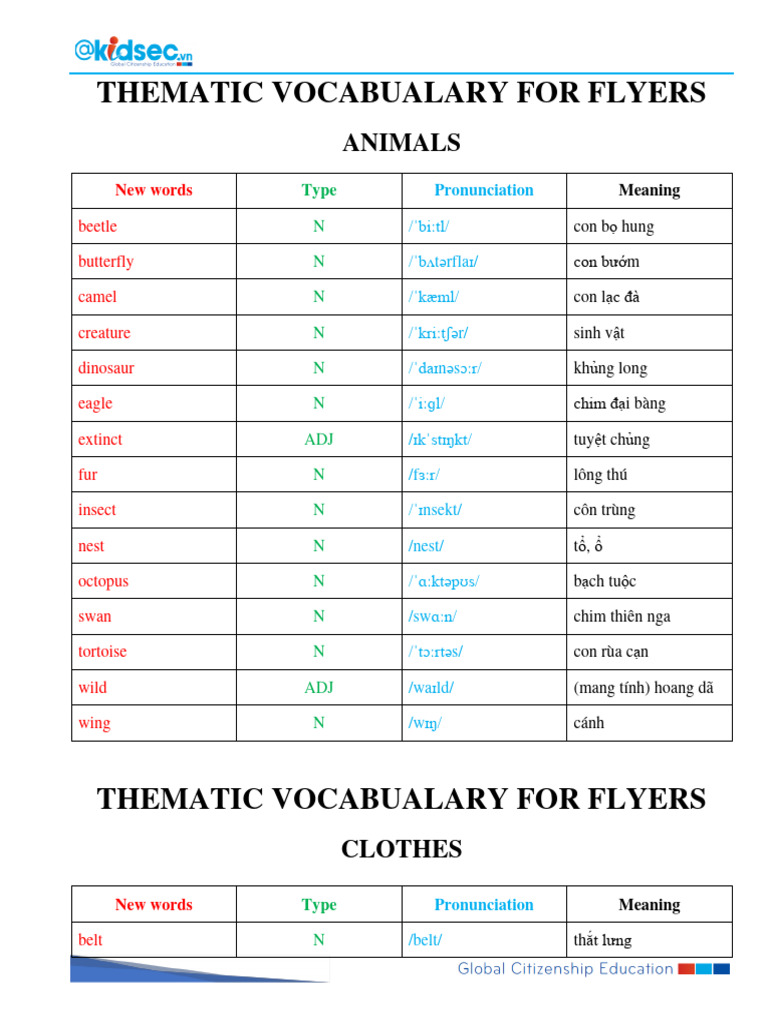 Vocabulary For Flyers (T NG H P) | PDF
