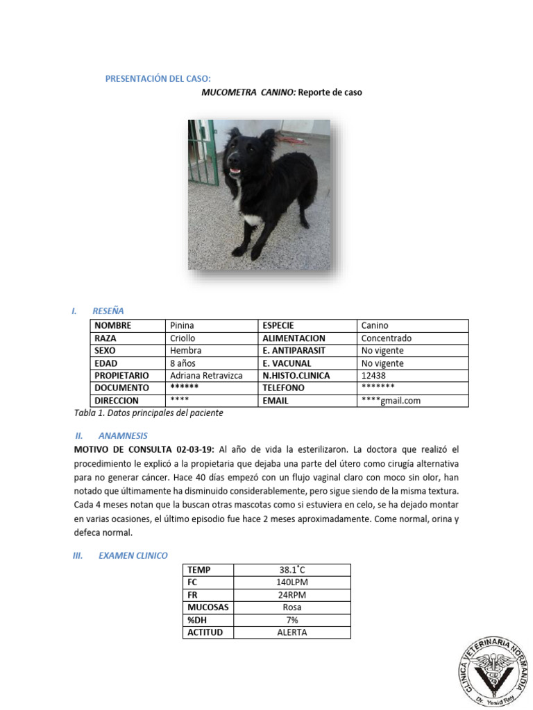 Mucometra Canino | PDF | Especialidades Medicas | Medicina CLINICA