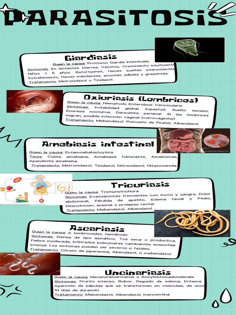 Infografia Parasitosis | PDF | Epidemiología | Gastroenterología