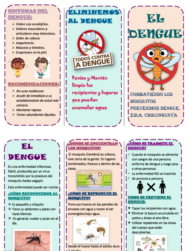 tríptico El dengue | PDF | Insectos y humanos | Enfermedades y trastornos tríptico El dengue | PDF | Insectos y humanos | Enfermedades y trastornos