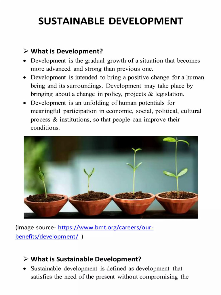 Sustainable development | PDF