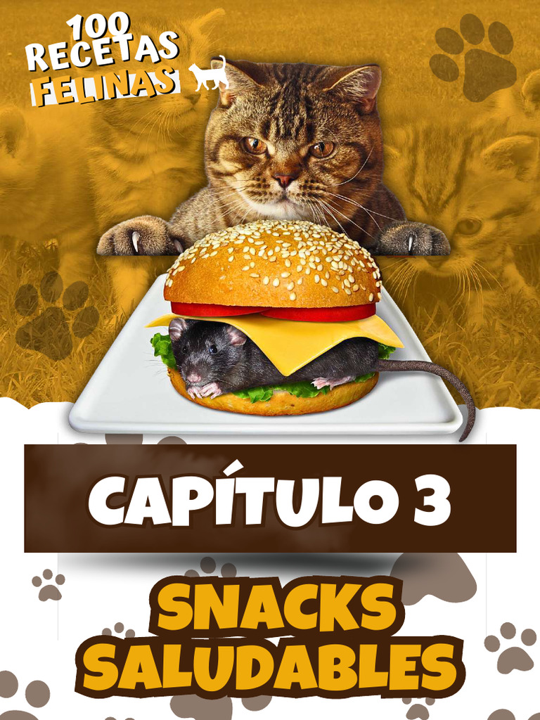 27 Snacks Saludables para Gatos | PDF | Carne | Galleta