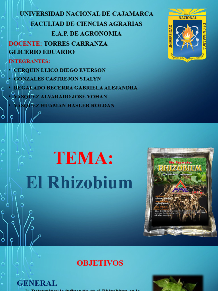 Importancia del Rhizobium en Agricultura | PDF | Biología | Organismos