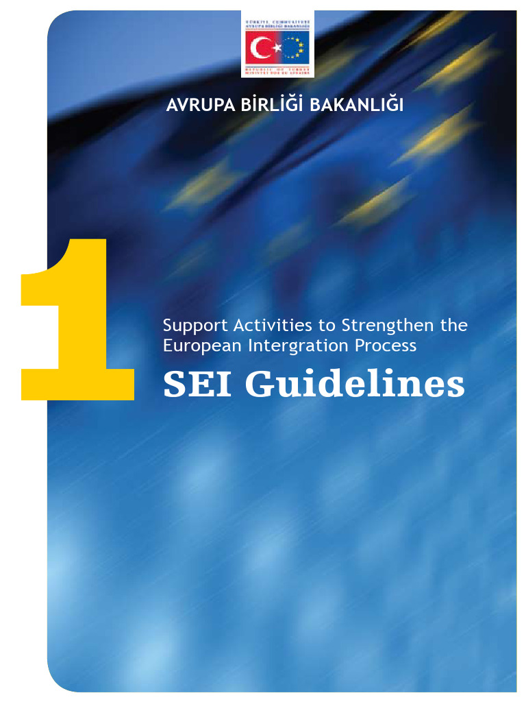Guide For Sei Ingilizce Web | PDF | European Union | Feasibility Study