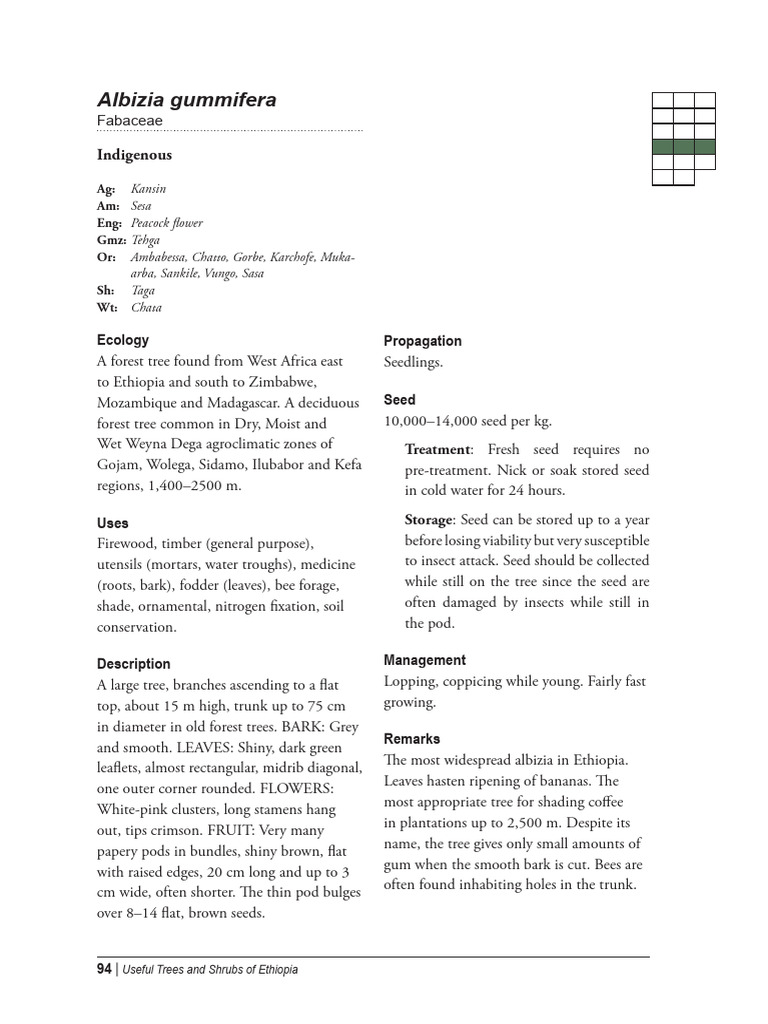 Albizia Gummifera ETH | PDF | Trees | Seed