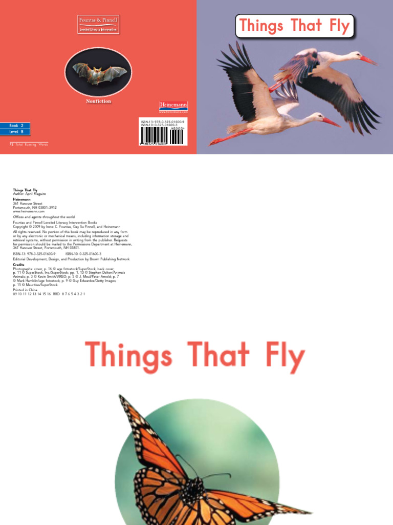 2 Things That Fly | PDF