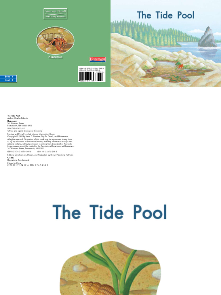 4 The Tide Pool | PDF