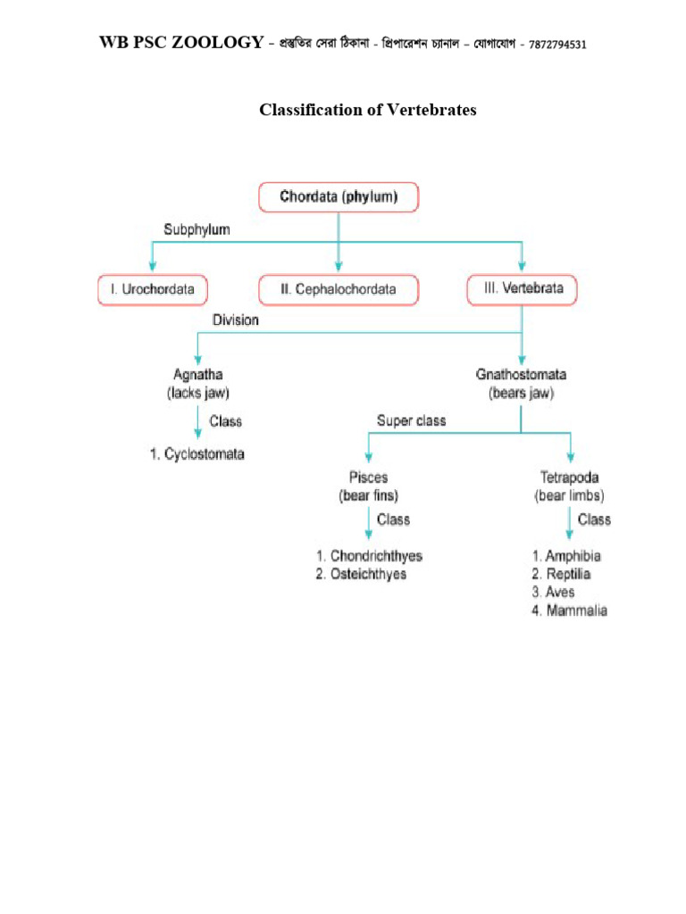Classification of Vertebrates - WB PSC ZOOLOGY - 02.05.2024 | Download ...