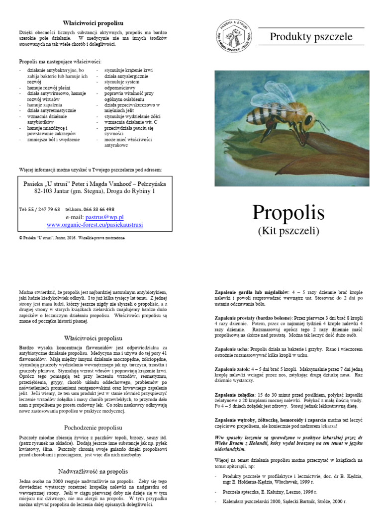 2016 Broszura Propolis jmhq1l05 | PDF
