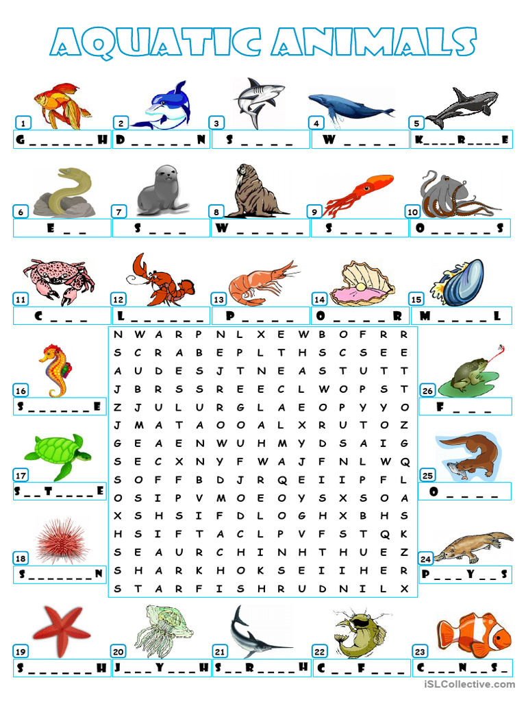 Aquatic Animals - Wordsearch | PDF | Zoology