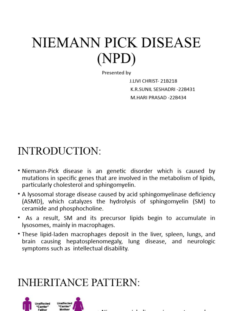 Niemann Pick Disease.3 | PDF | Genetics | Diseases And Disorders