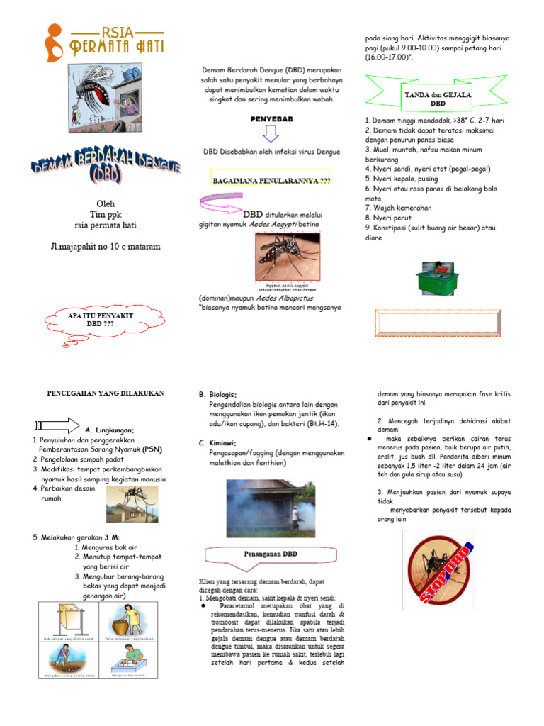 Leaflet DBD | PDF