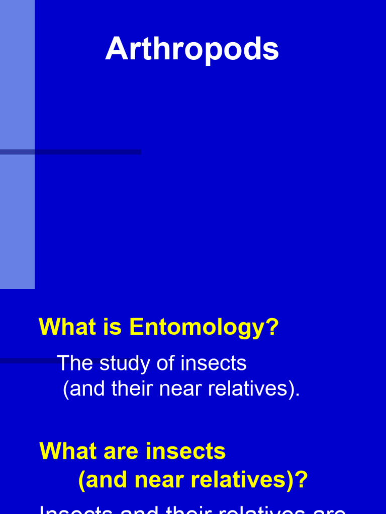 Zoology PWPT Arthropods | PDF | Spider | Crustacean