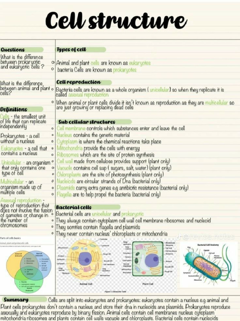 Biologynotesform 4 | PDF