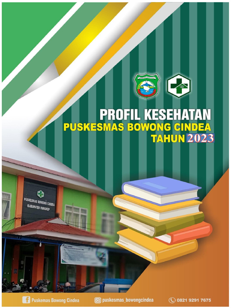 Profil Kesehatan Puskesmas Bowong Cindea 2023 | PDF | Pengembangan Diri ...