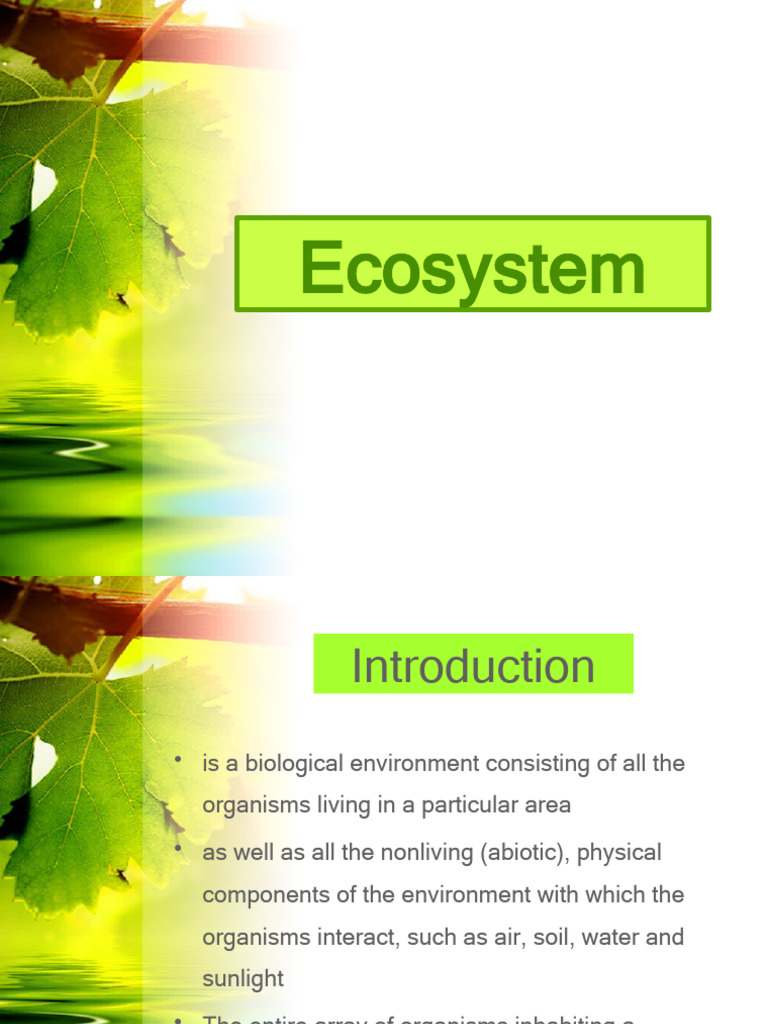 Ecosystem | Download Free PDF | Food Web | Ecosystem
