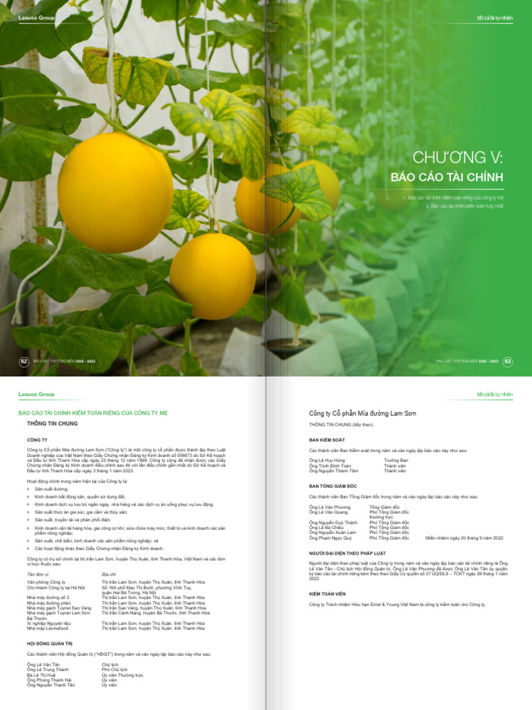 Bao-Cao-Thuong-Nien-Nam-2022-2023 LSS | PDF