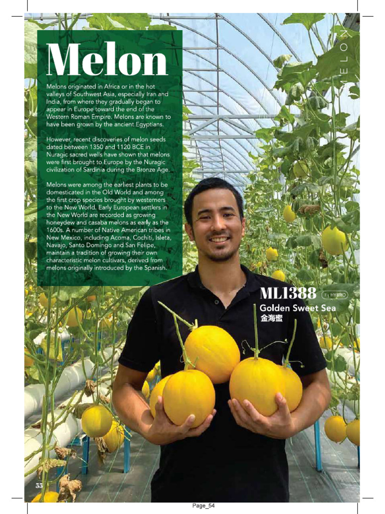 Melon Catalogue (1) | PDF