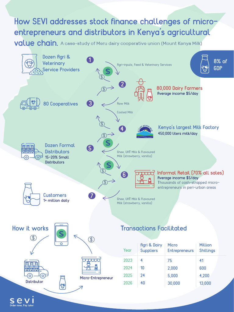 SEVI - Brochure - Financial Inclusion For Micro-Entrepreneurs | PDF ...
