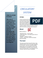 Three Types of Circulation Explained | PDF