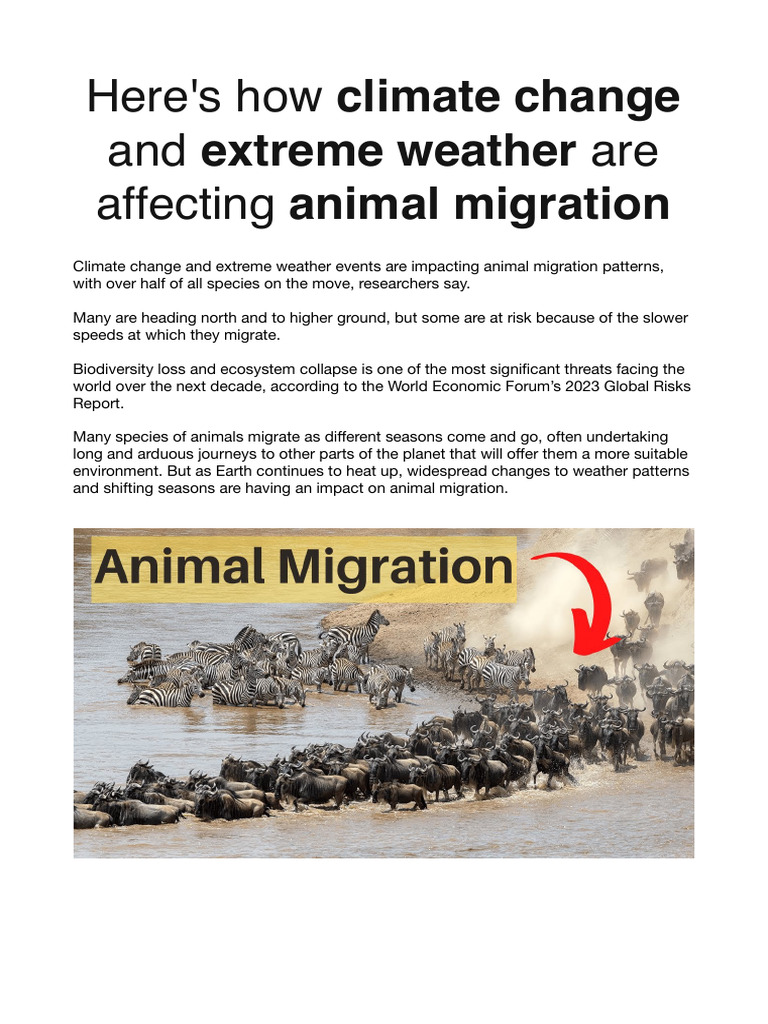 Here's How Climate Change and Extreme Weather Are Affecting Animal ...
