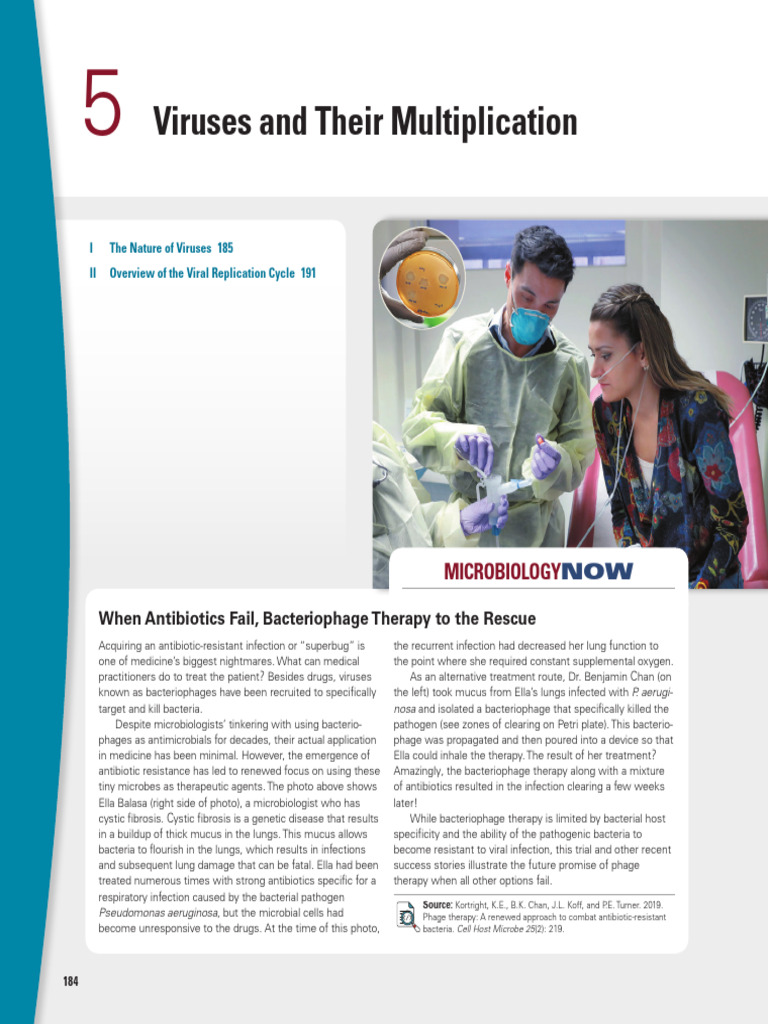 Chapter 5 Unit 1 Brock Biology of Microorganisms, Ebook, Global Edition | PDF | Virus ...